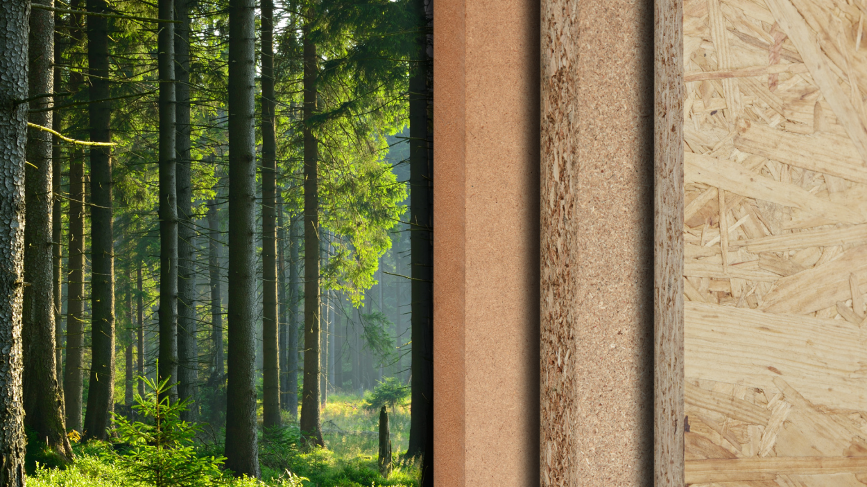 Sonae Arauco retém 3,5 milhões de toneladas de CO2 em produtos durante 2021