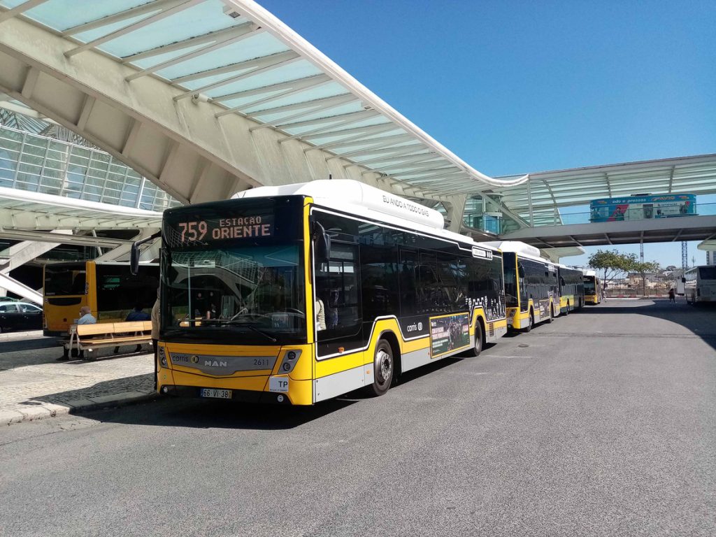 Transportes: Carris Metropolitana está a nascer e traz fim anunciado de ...