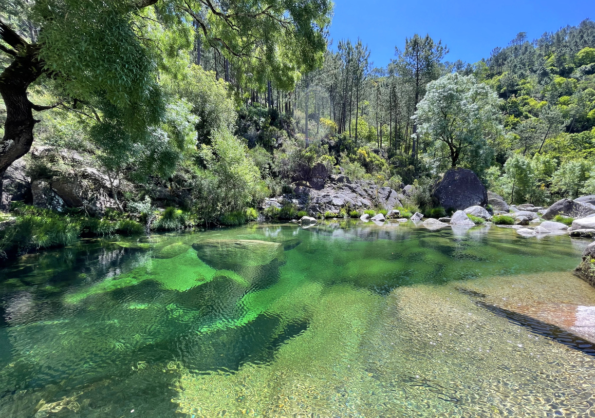 Portugal é o 18º melhor em desempenho ambiental na Europa